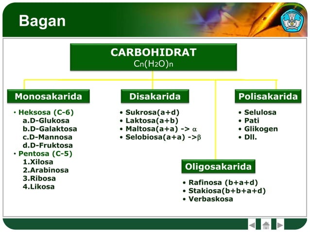 Karbohidrat | PPTX