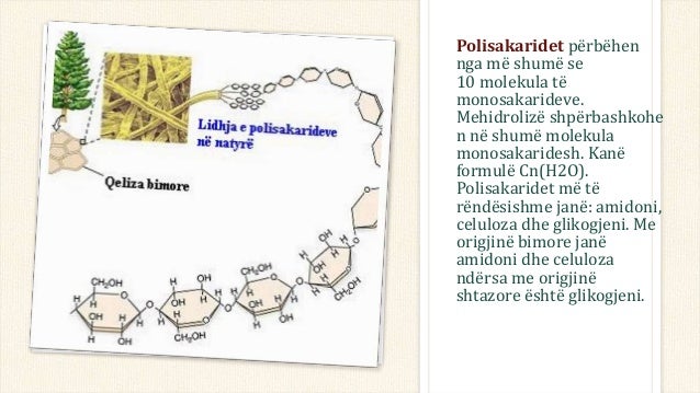 Projekt Kimi - Karbohidratet