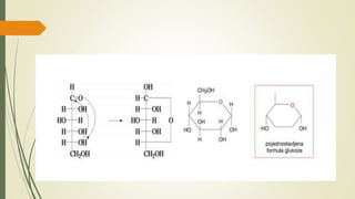 Ugljikohidrati | PPTX