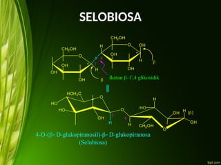 Karbohidrat pada produk pangan dan pertanian | PPTX