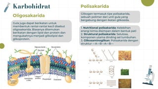 Karbohidrat, protein ditinjau dari .pptx