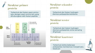 Karbohidrat, protein ditinjau dari .pptx