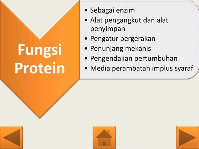 karbohidrat_protein_dan_lemak_ppt (1).pdf