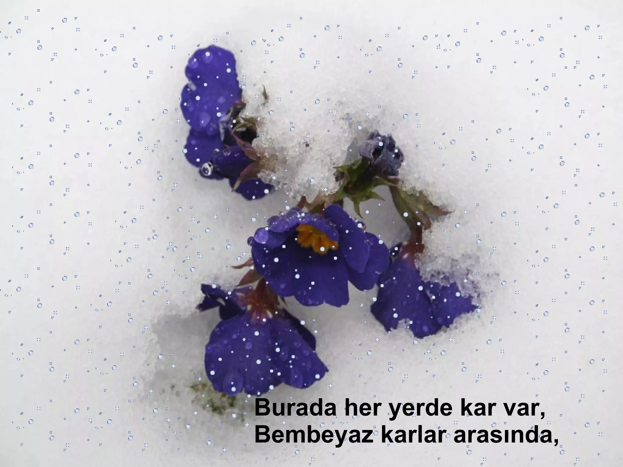 SAIR CAN AKIN – ASK – SENI SEVIYORUM – SIIR KITABI – SIIR - 064 - Kar ...