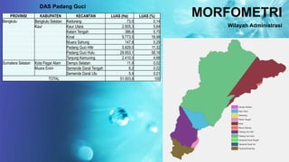 Identifikasi Karakteristik Daerah Aliran Sungai | PDF