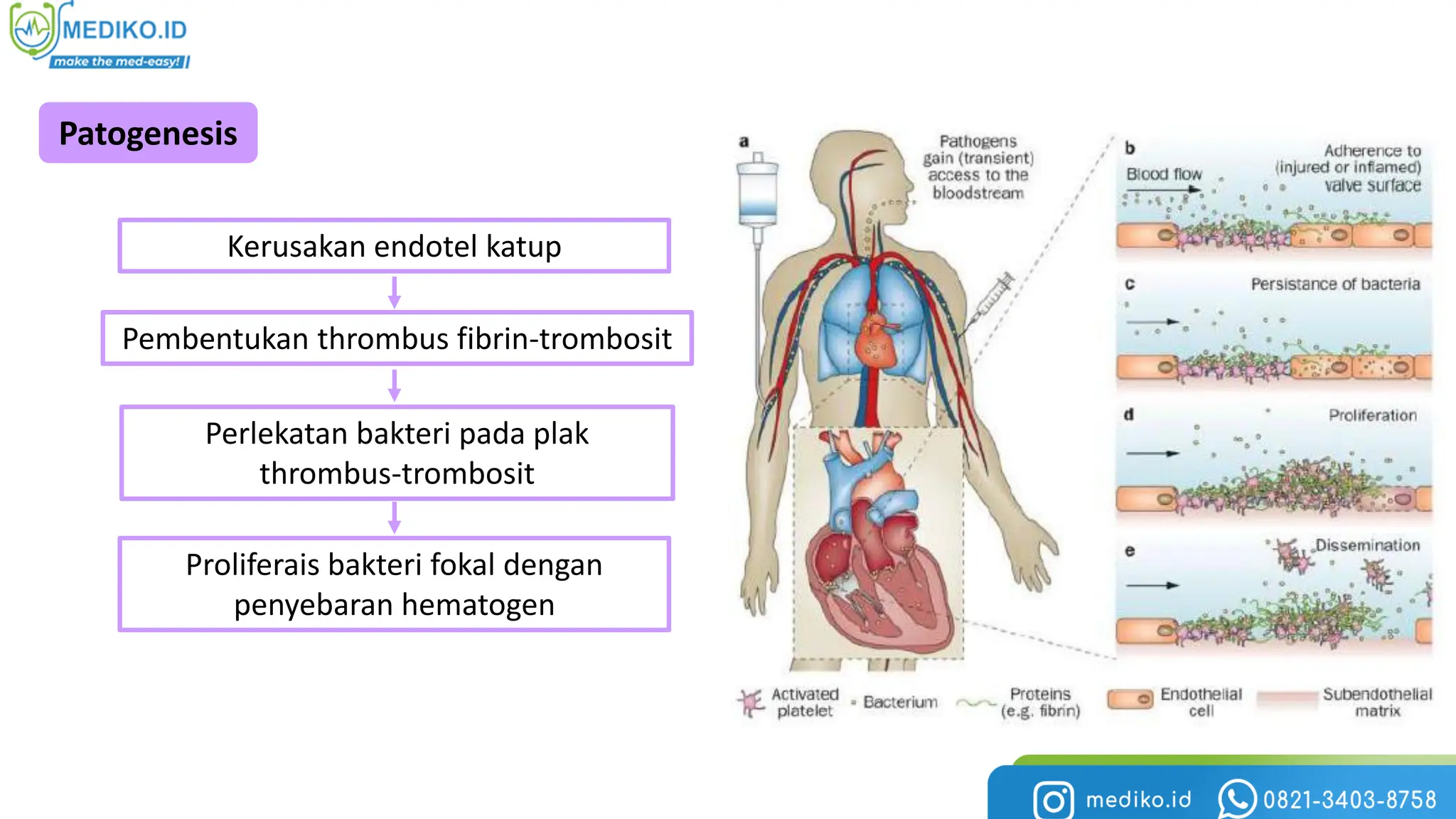 Cardiology (ilmu jantung dan pembuluh darah) | PDF