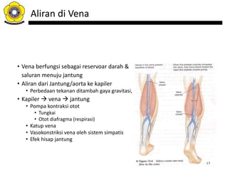 sistem kardiovaskular part 2 (S.KED) .pptx