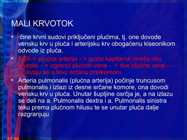 ANATOMIJA Kardiovaskularni sistem | PPT