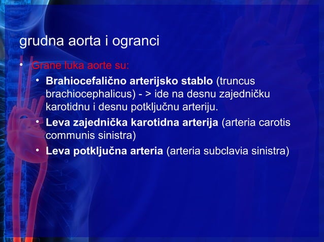 ANATOMIJA Kardiovaskularni sistem | PPT