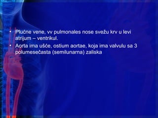 ANATOMIJA Kardiovaskularni sistem | PPT