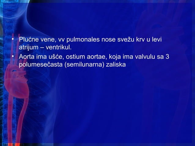 ANATOMIJA Kardiovaskularni sistem | PPT