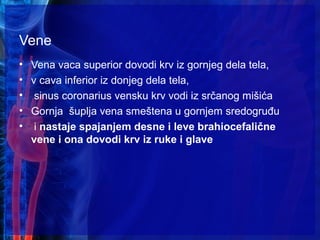 ANATOMIJA Kardiovaskularni sistem | PPT