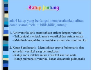 Kardiovaskuler | PPT