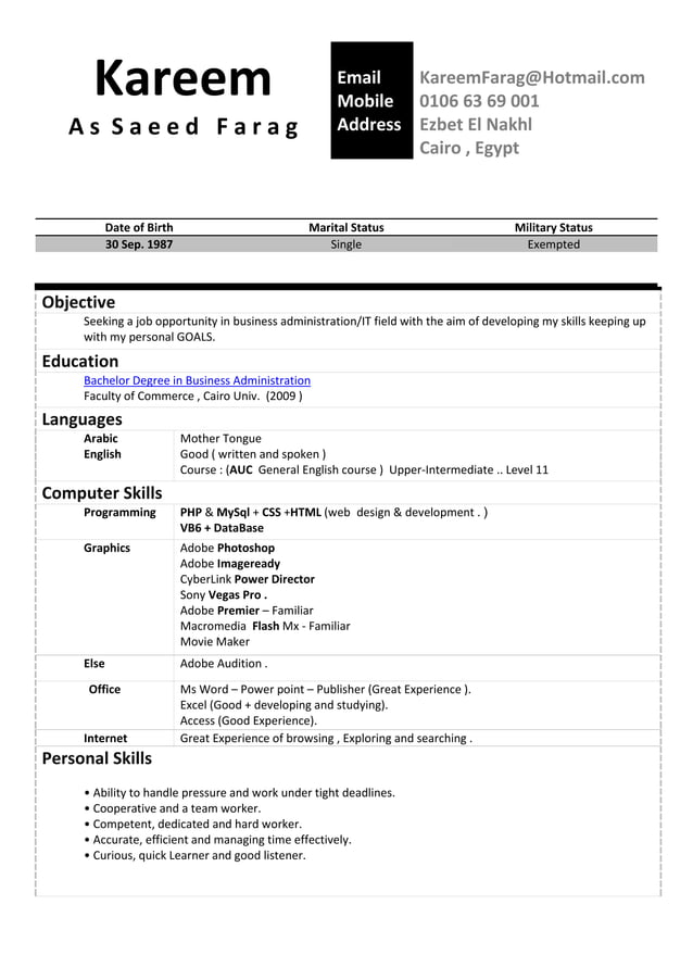 Kareem Farag Cv | DOCX