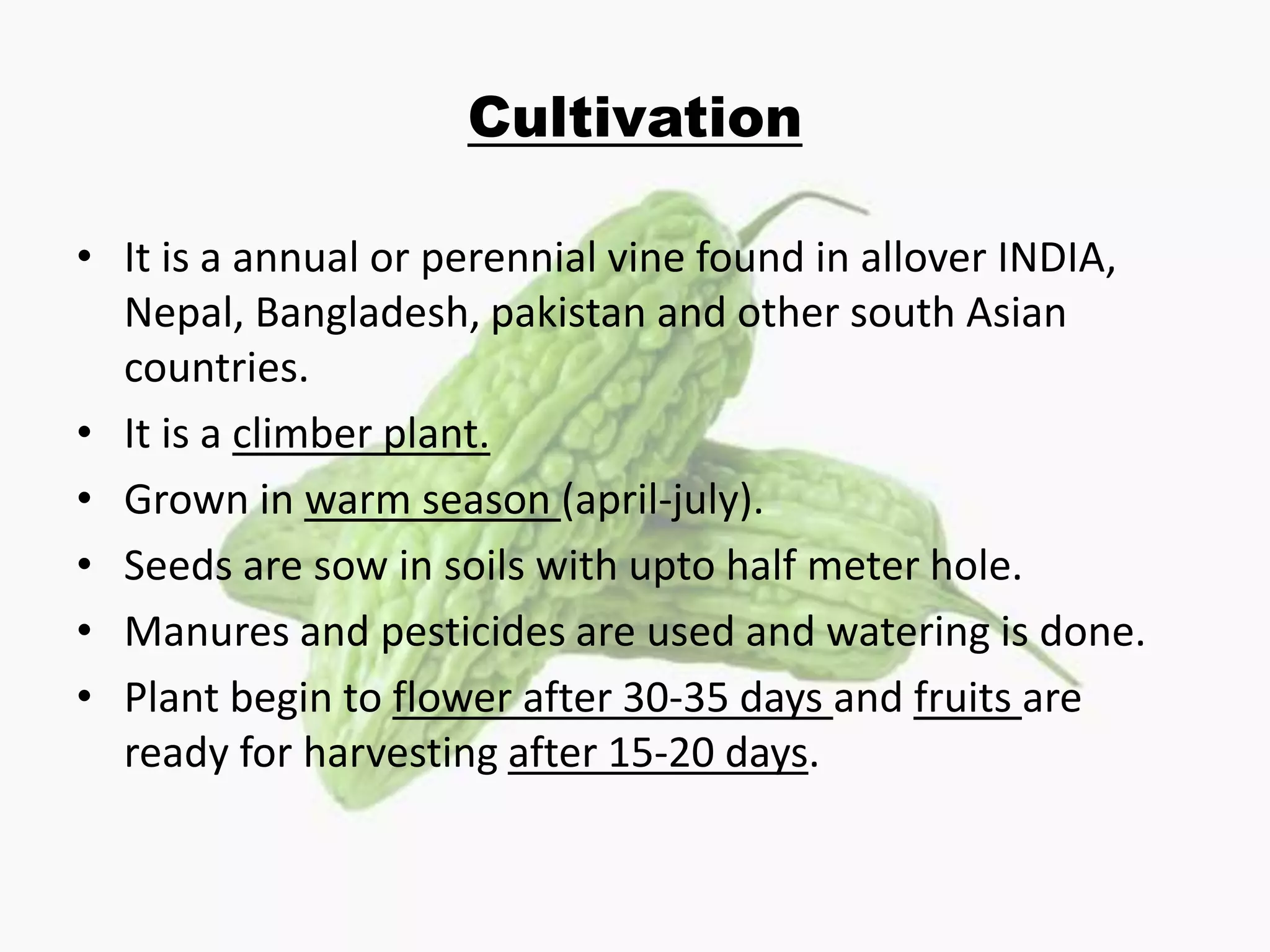 Karela - Momordica charantia | PPTX