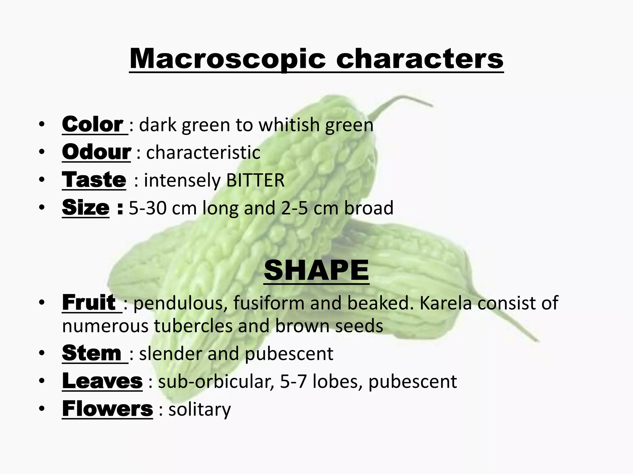 Karela - Momordica charantia | PPTX