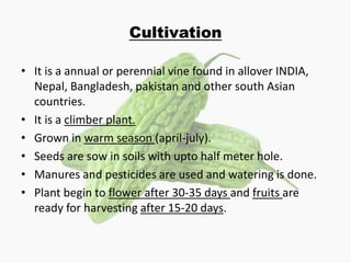 Karela - Momordica charantia | PPTX