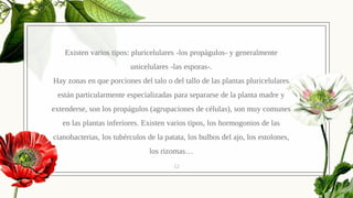 Reproducción Sexual y Asexual en las plantas | PPTX
