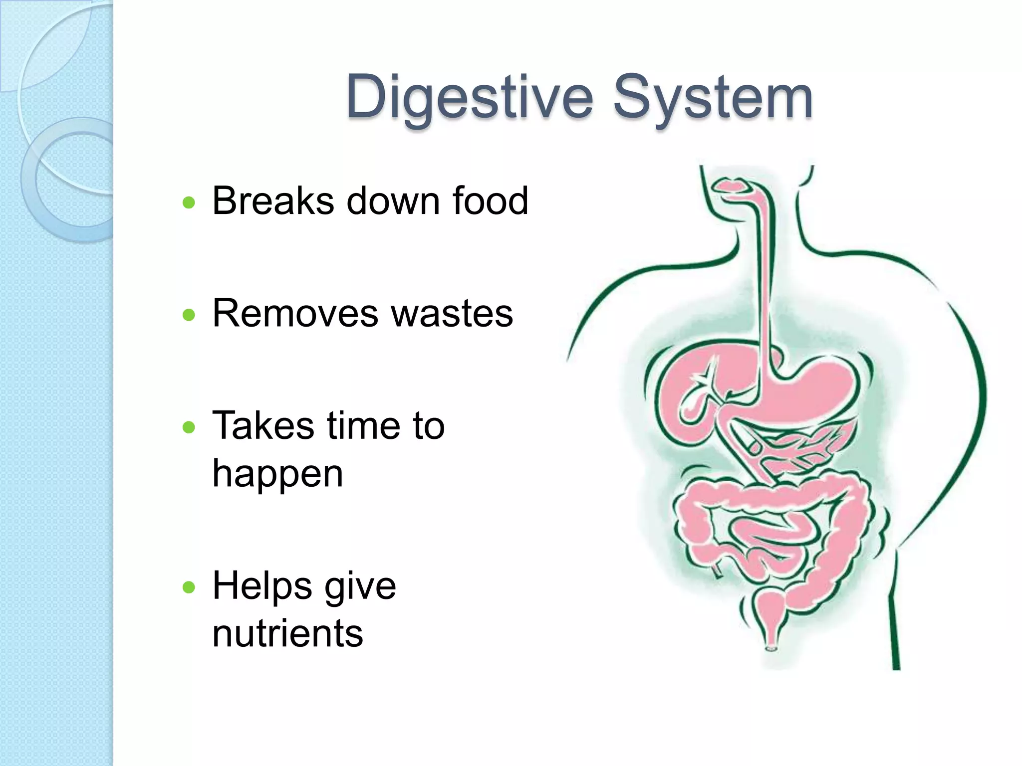 Karen816 digestive system powerpoint | PPT