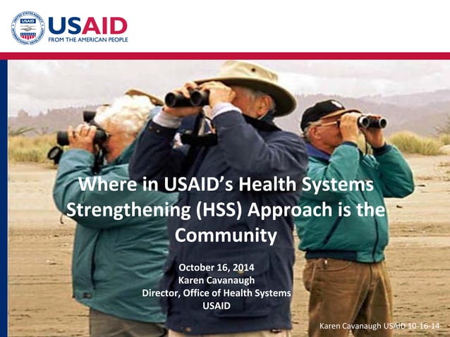 Where in USAID’s Health Systems Strengthening (HSS) Approach is the ...