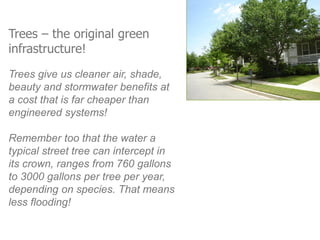 Stormwater Management & Green Infrastructure | PDF