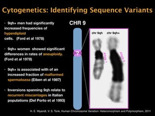 Karen miga centromere sequence characterization and variant detection | PDF