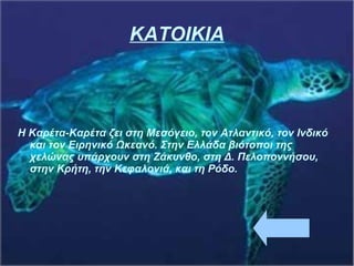 Kareta | PPT