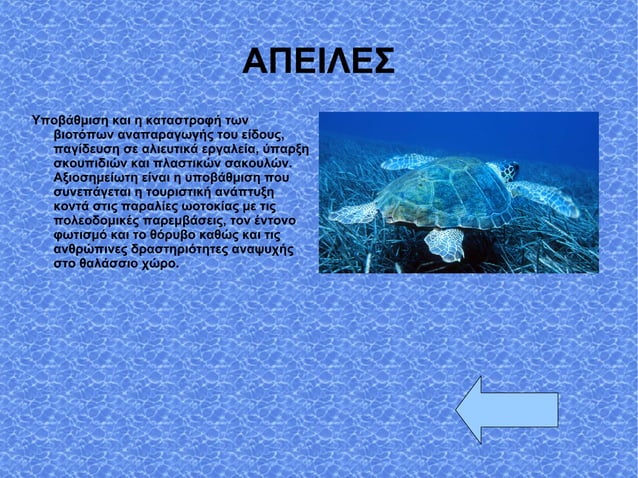 Kareta | PPT