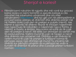 Kariesi i dhëmbit | PPTX