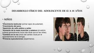 desarrollo del adolescente