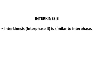 Meiosis Cell Division Seminar 2024 By - Karishma | PPTX | Infertility ...