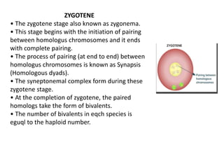 Meiosis Cell Division Seminar 2024 By - Karishma | PPTX
