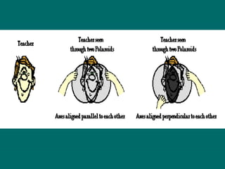 Polarization Of Light Karishma soni | PPTX