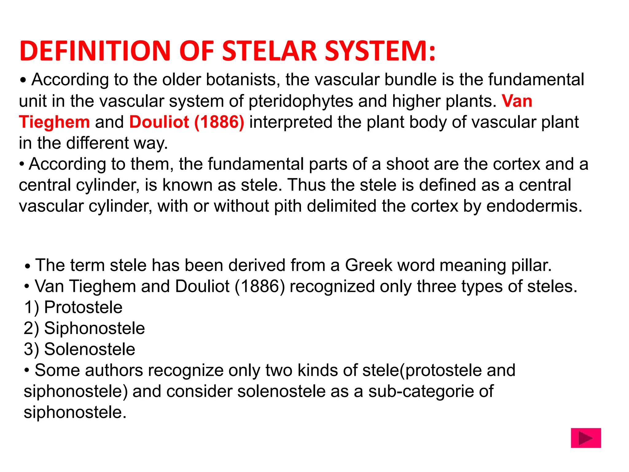 STELLAR SYSTEM IN PTERIDOPHYTE Seminar 2023- By Karishma | PPTX