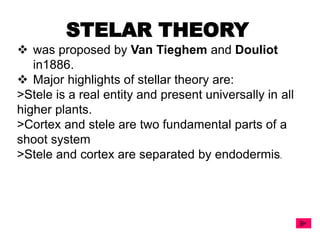STELLAR SYSTEM IN PTERIDOPHYTE Seminar 2023- By Karishma | PPTX