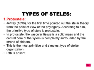 STELLAR SYSTEM IN PTERIDOPHYTE Seminar 2023- By Karishma | PPTX