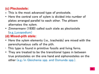 STELLAR SYSTEM IN PTERIDOPHYTE Seminar 2023- By Karishma | PPTX