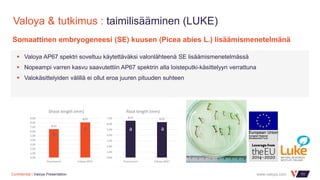 Valoya Oy:n ratkaisut metsätaimituotantoon | PDF