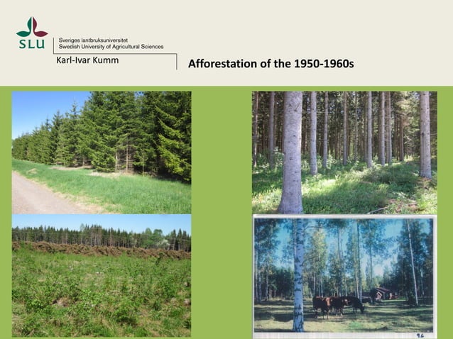 On climate mitigation potentials of growing trees in agricultural ...