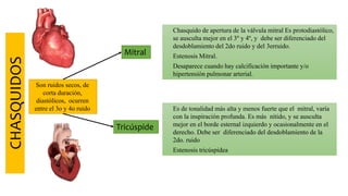 Irrigación Del Riñon Pptx