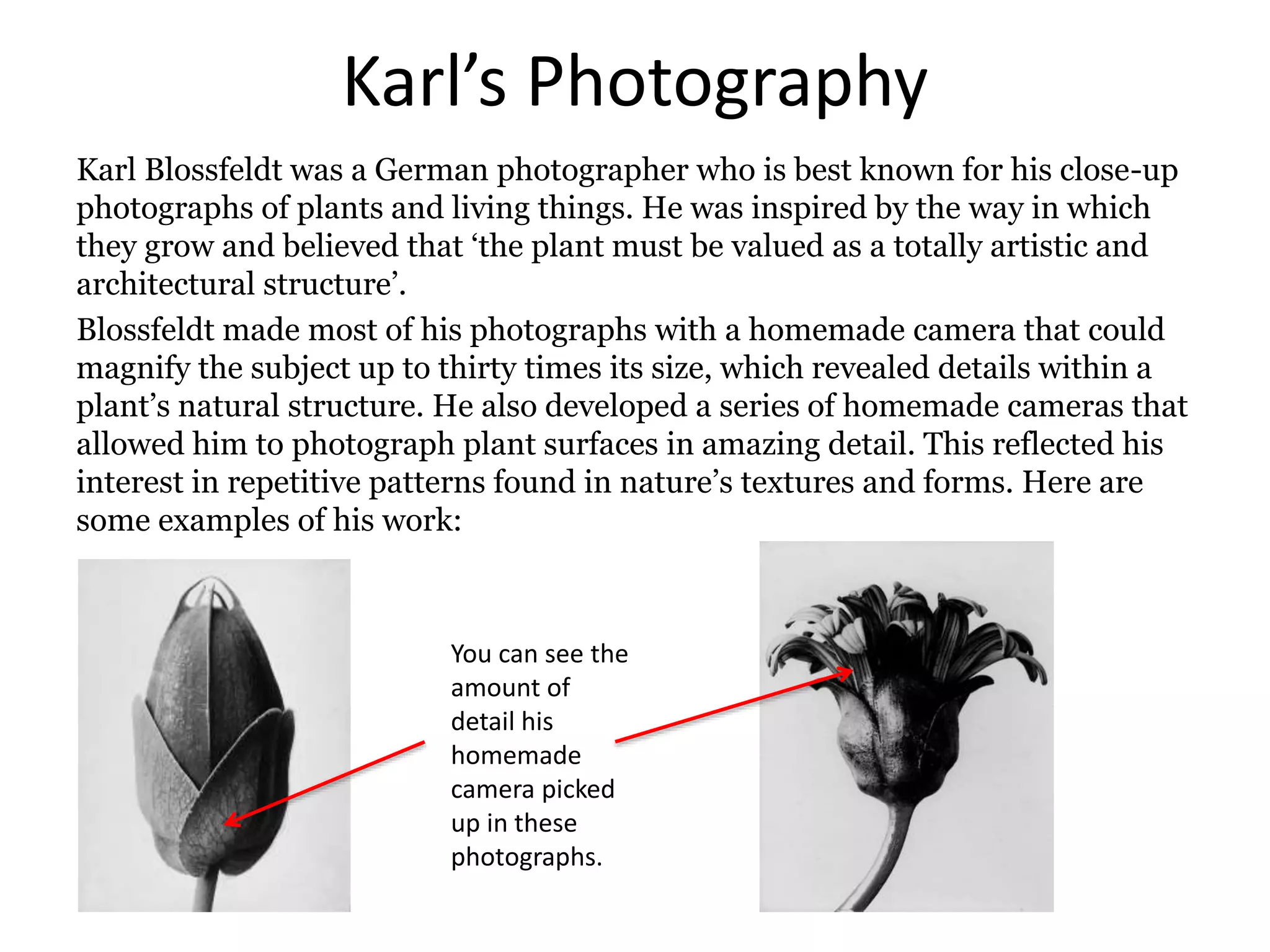 Karl Blossfeldt Photography | PPTX