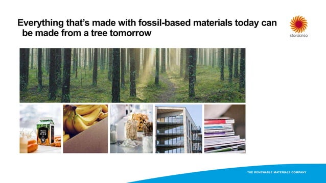 Karl-Henrik Sundstrom World Circular Economy Forum 2017 Helsinki ...