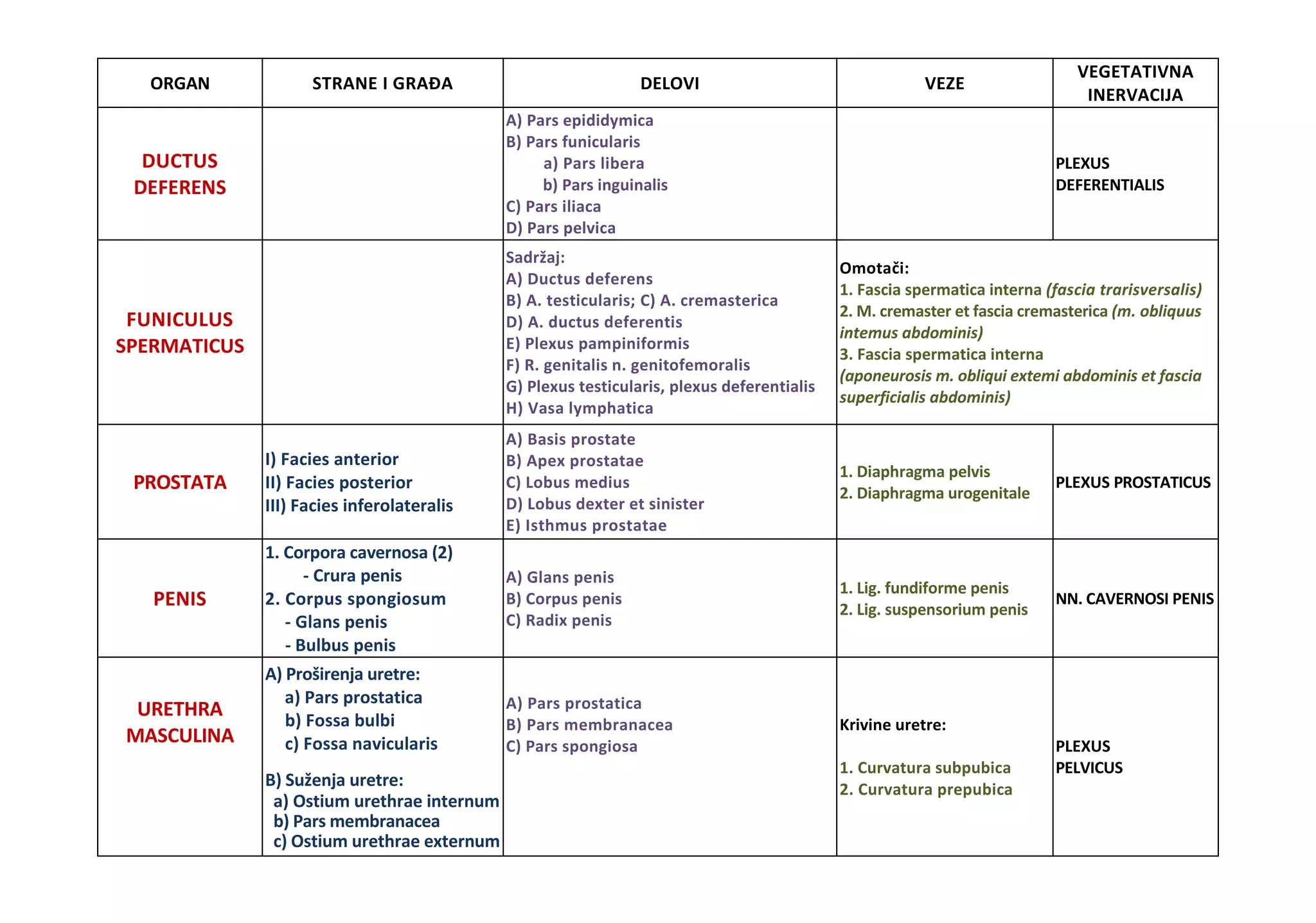 Karlica | PPT | Free download