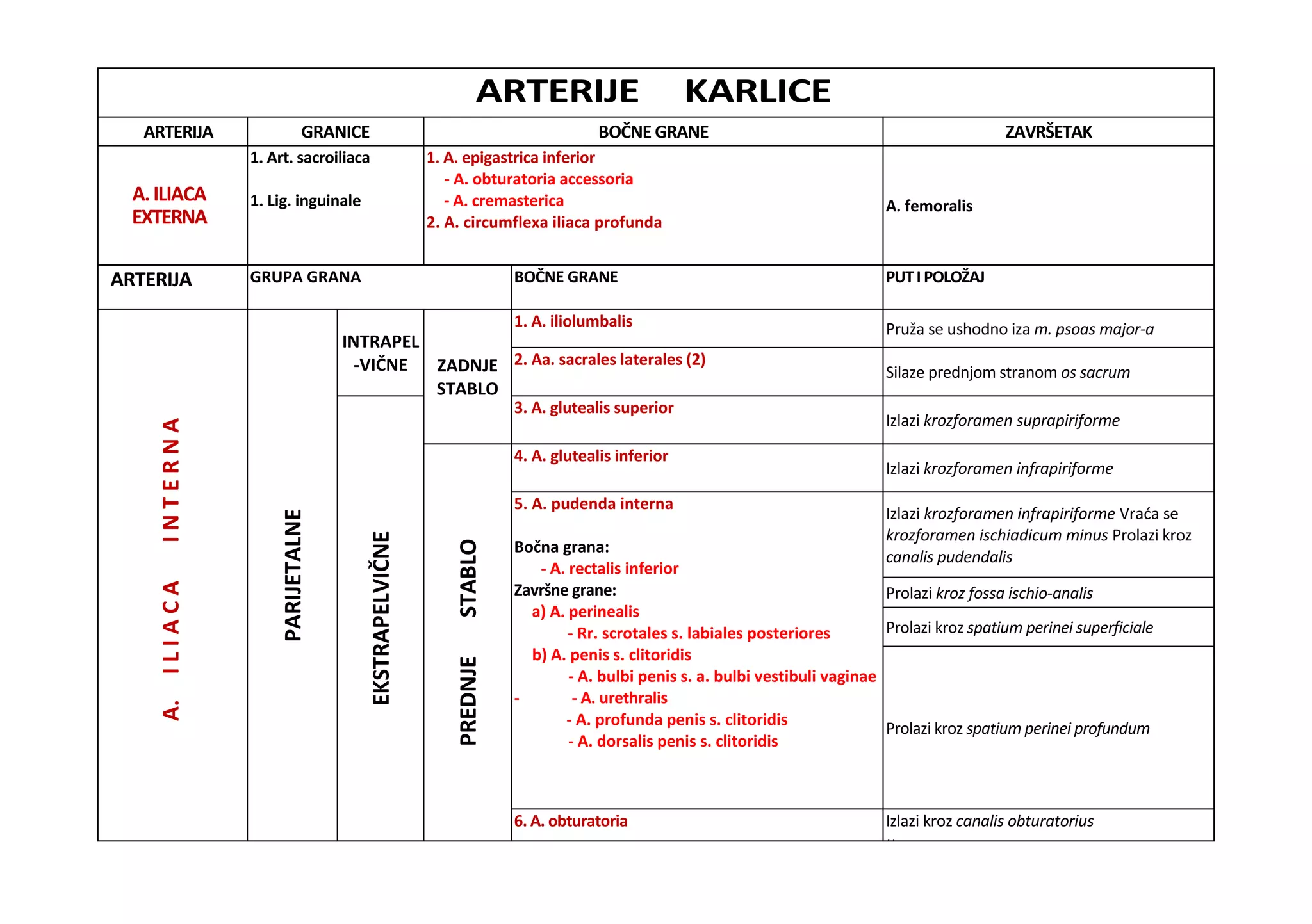 Karlica | PPT | Free download