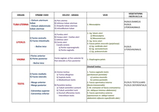 Karlica | PPT | Free download