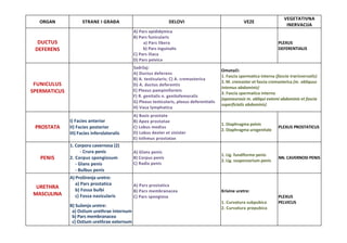 Karlica | PPT