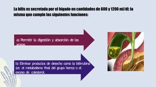 ANATOMIA DE VESICULA BILIAR Y ENFERMEDADES BILIARES | PPTX
