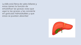 ANATOMIA DE VESICULA BILIAR Y ENFERMEDADES BILIARES | PPTX