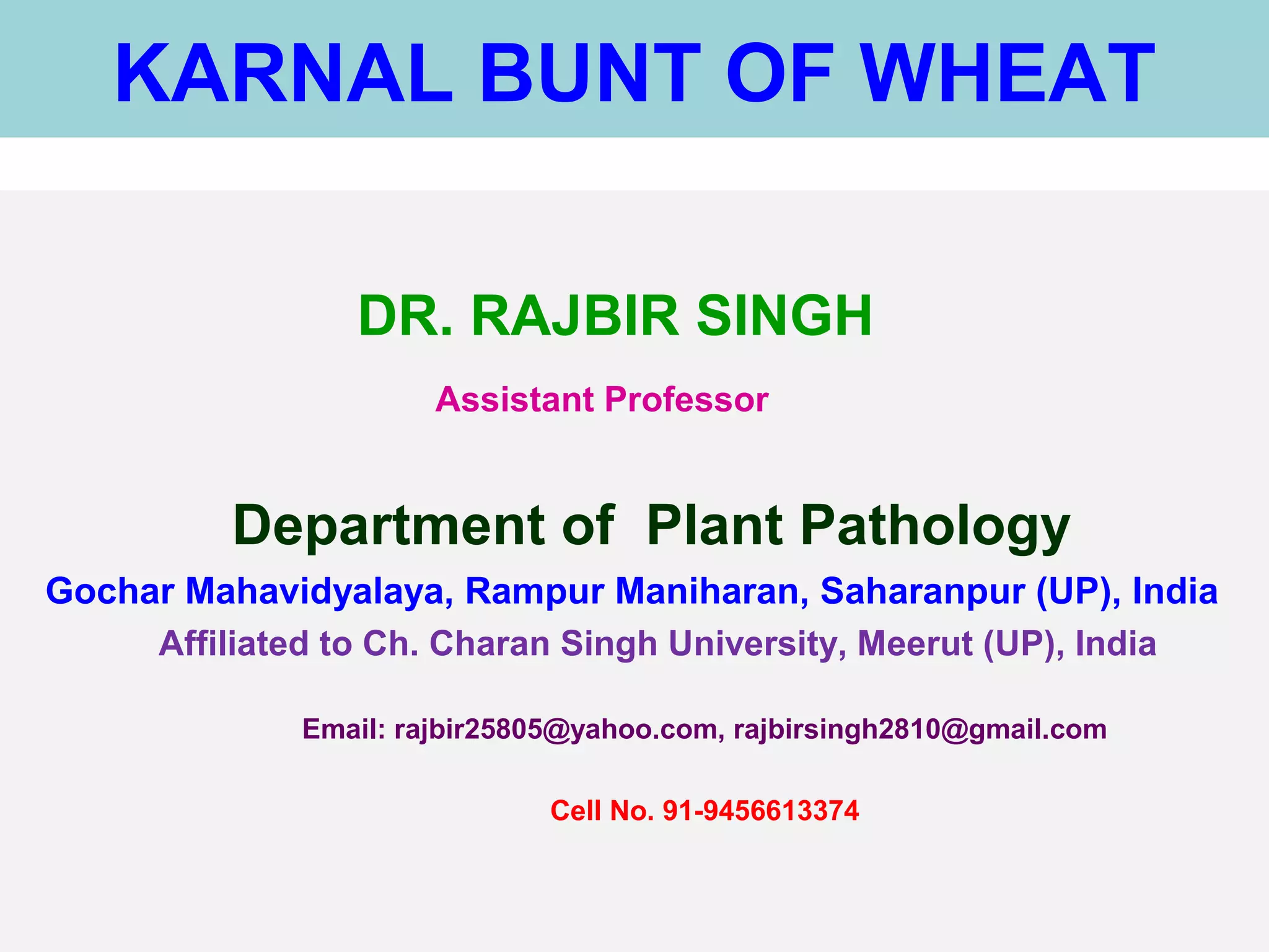 Karnal bunt of wheat | PPT | Agriculture | Industries