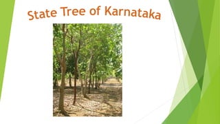 Karnataka | PPT